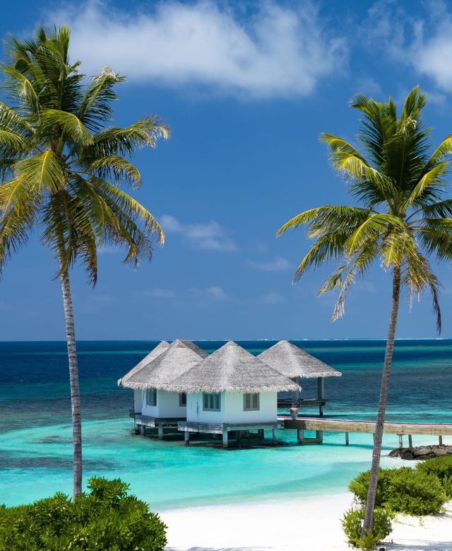 Cora Cora Maldives | All-Inclusive Resort | Upto 40% Savings