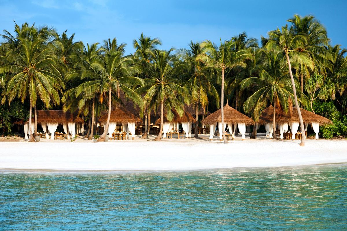 Reethi Faru Resort | 5-Star Luxury in Raa Atoll