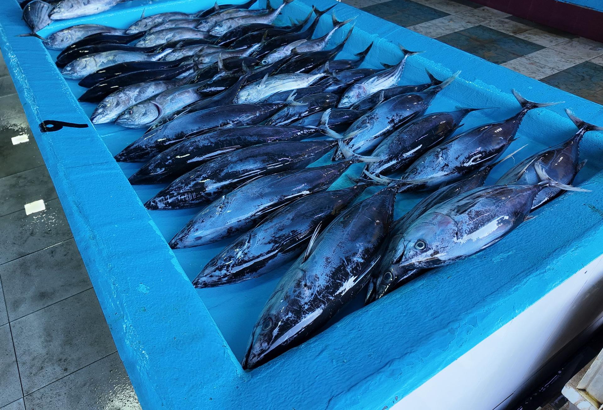 Economy of the Maldives