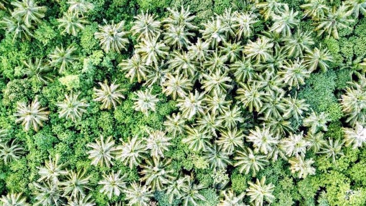 Geography of the Maldives