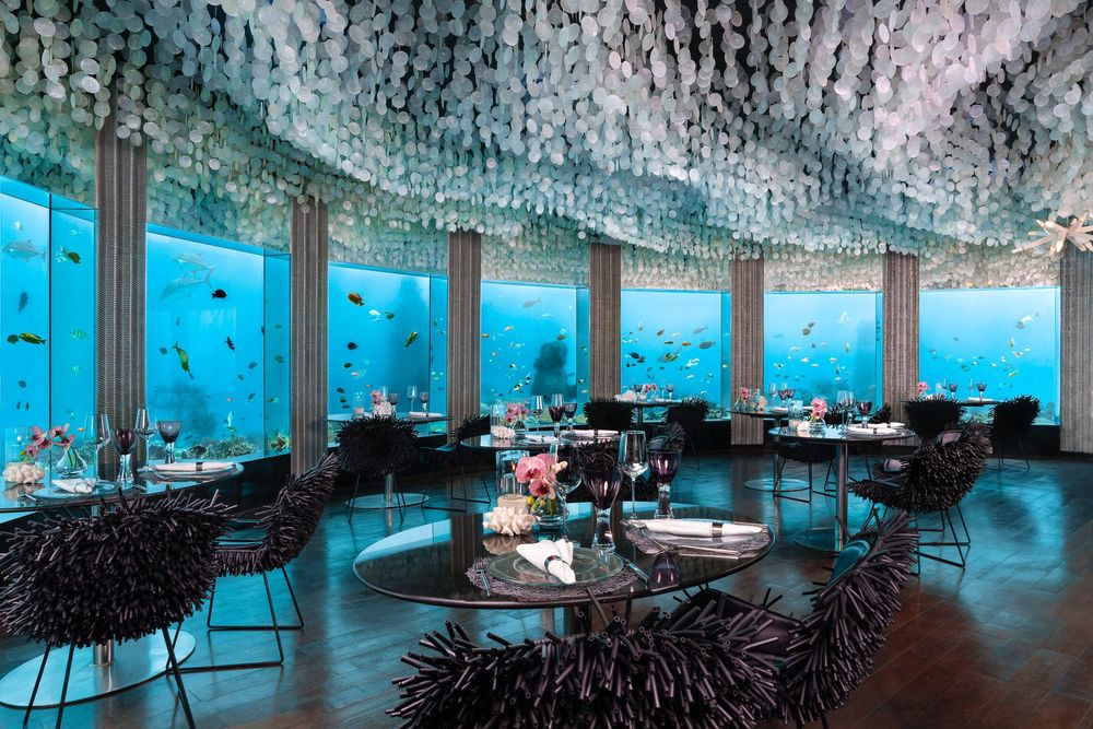 The Ultimate Guide to Underwater Dining in the Maldives: Unforgettable ...